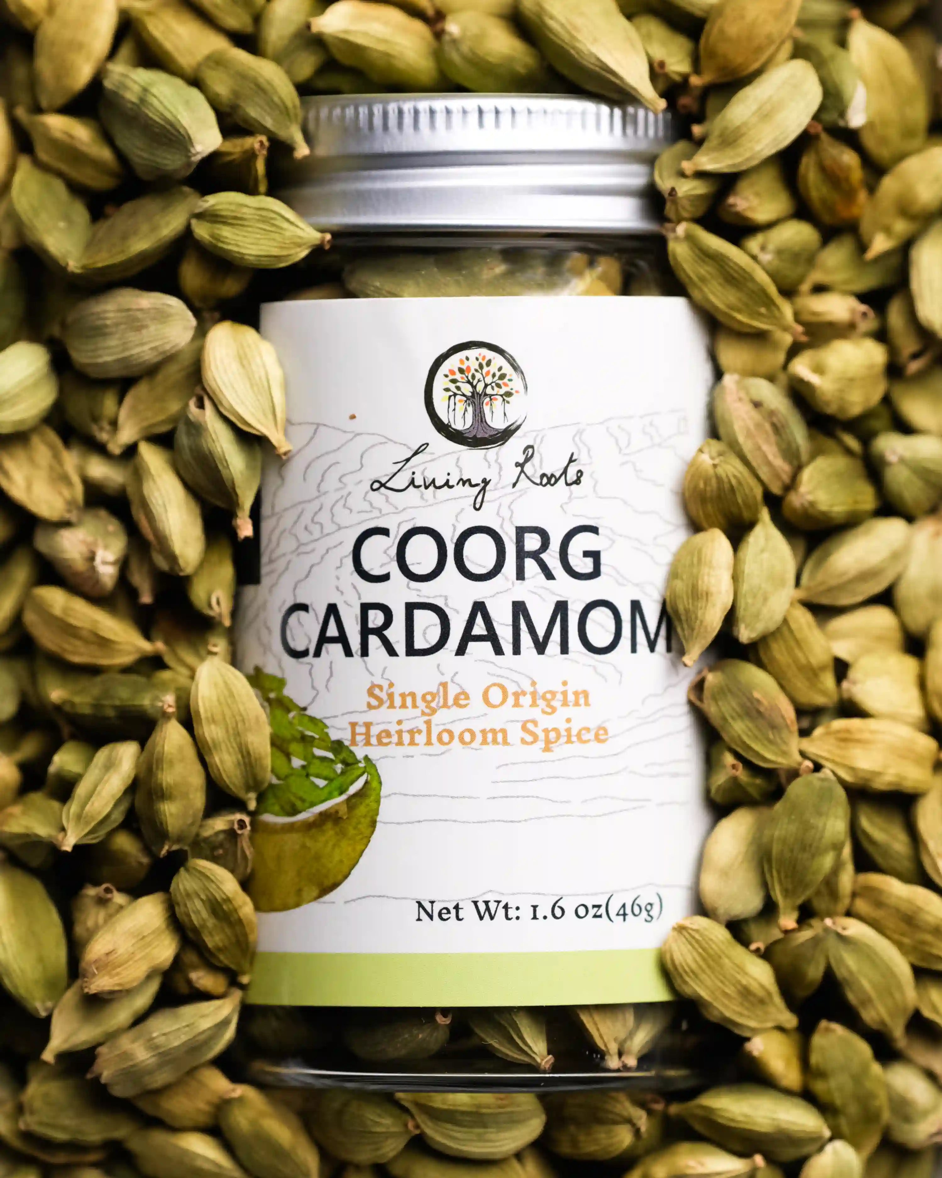 Green Cardamom | Single-Origin Coorg India – Living Roots